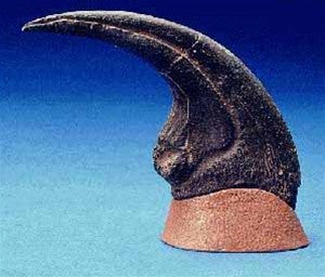 Replica Allosaurus Hand Claw